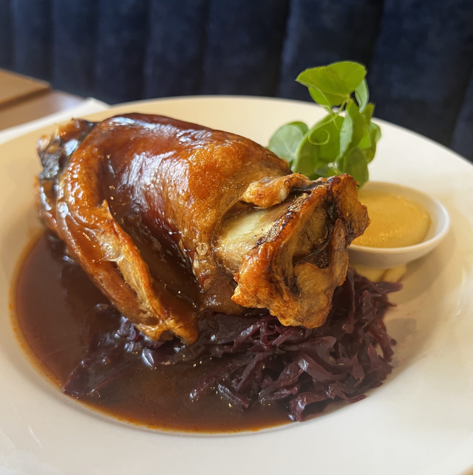 What's On at the Polish Club Ashfield